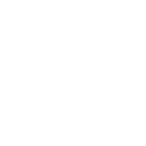 New England Cannabis Convention Series | NECANN
