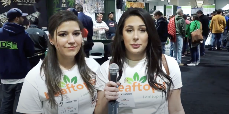 Testimonials | USA Cannabis Conventions | NECANN