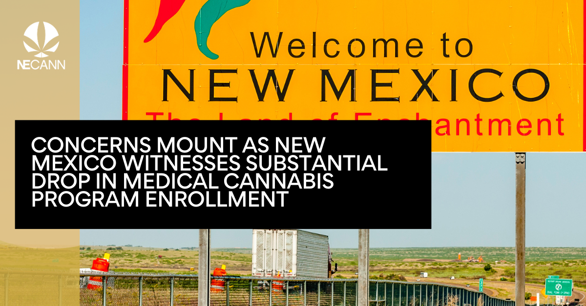 NM Medical Cannabis Program Faces Enrollment Decline |NECANN