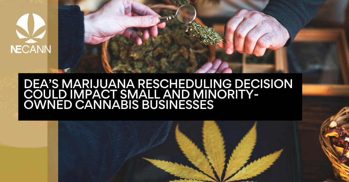 DEA Rescheduling May Affect Small Cannabis Business | NECANN