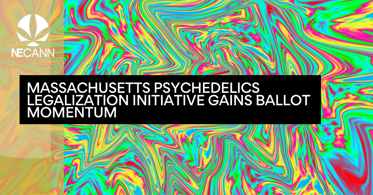 MA Psychedelics Legalization to November Ballot | NECANN