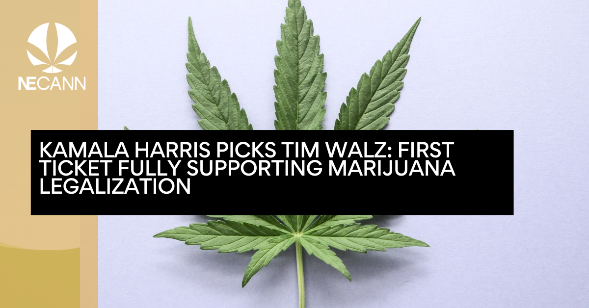 Harris Chooses Walz: Ticket Backing Legalization | NECANN