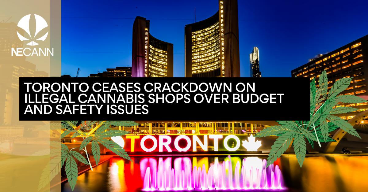 Toronto Stops Cracking Down on Illegal Cannabis Shops|NECANN