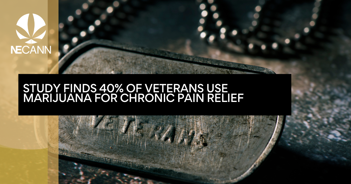 40% of Veterans Use Marijuana- Chronic Pain Relief | NECANN