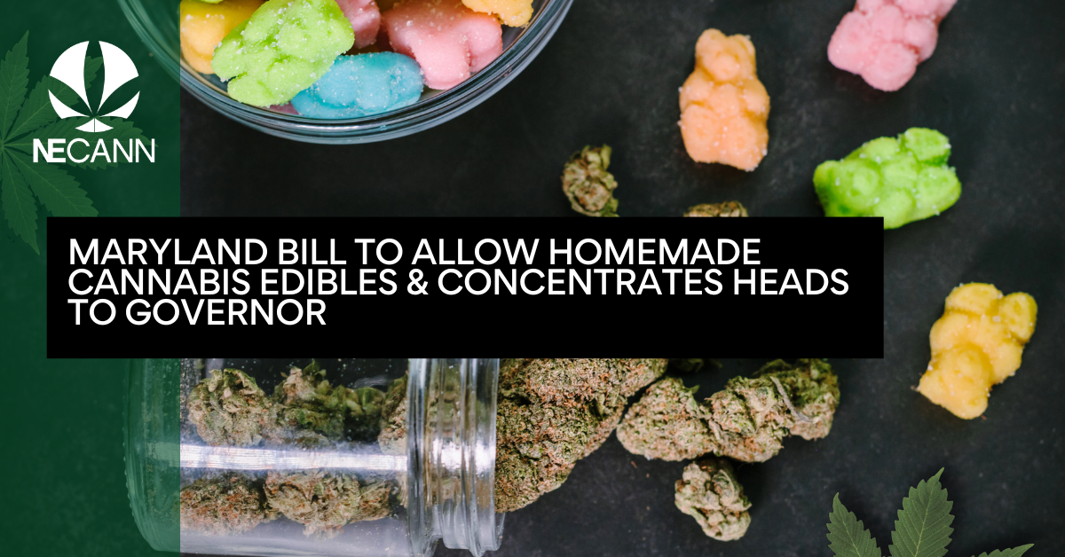 Maryland Bill- Allow Homemade Edibles & Concentrates| NECANN
